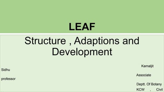 Leaf apex type | PPT