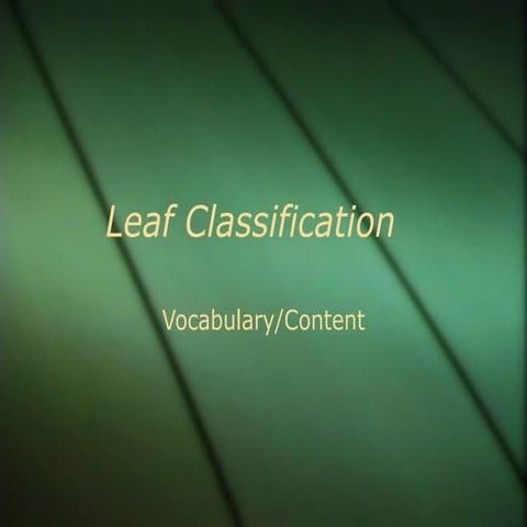 Leaf classification vocab | PPT