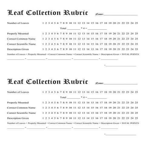 Leaf collection rubric | DOC