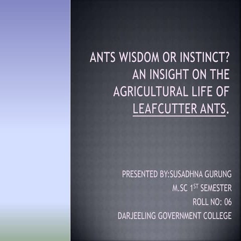 Leafcutter ants | PPTX