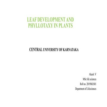 Leaf development in plants by Akash Naara | PPTX