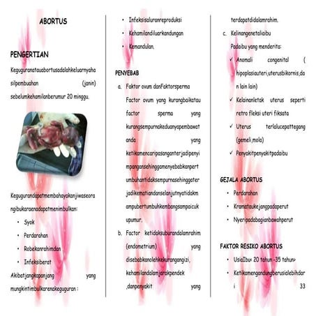 Leaflat abortus | DOCX