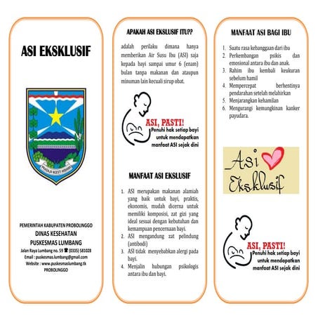 Leaflet asi-eksklusif | PDF