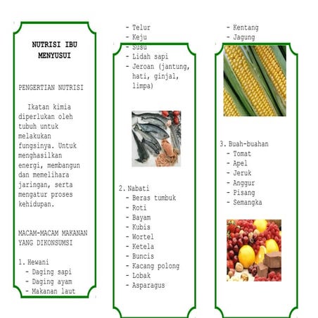 Leaflet nutrisi ibu menyusui | DOC