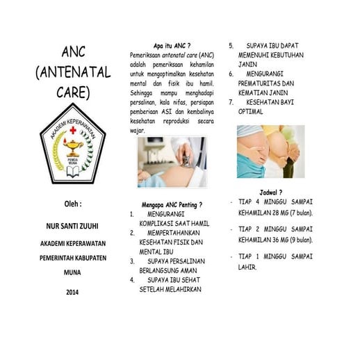 Leaflet anc akper pemda muna | PPT