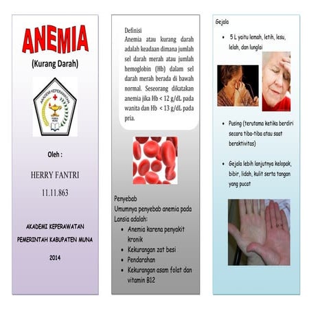 Leaflet anemia | DOCX
