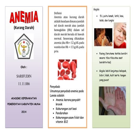 Leaflet anemia | PPT