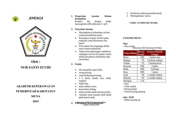 Leaflet anemia akper pemda muna | PPT
