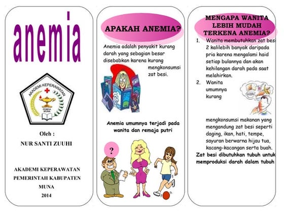 pencegahan anemia pada remaja dan ibu hamil.doc