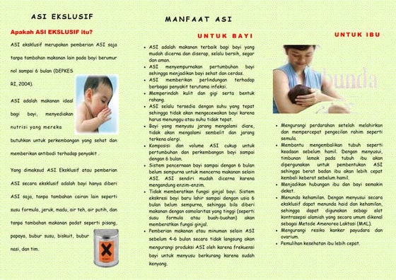 Asi eksklusif | PPTX