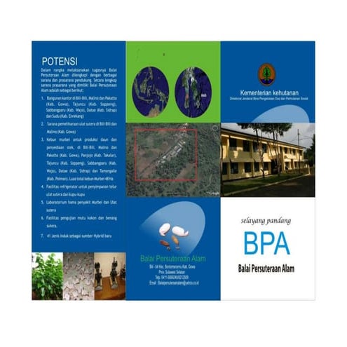 Leaflet bpa | PPT