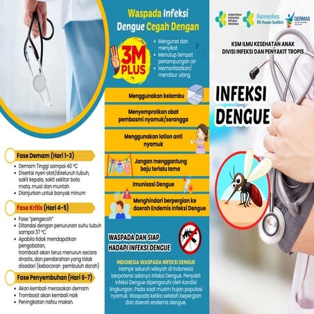 leaflet dengue infection that useful for public | PDF