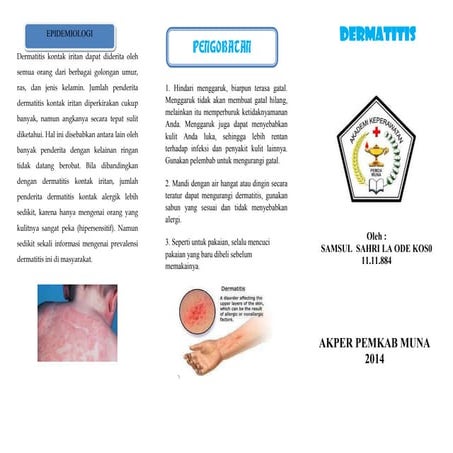 Leaflet dermatitis akper muna | DOC