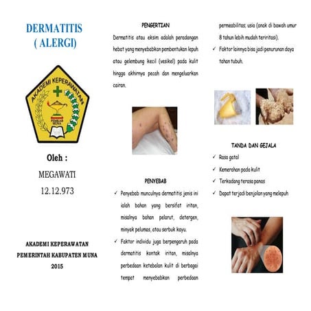 Leaflet dermatitis akper pemkab muna | DOCX