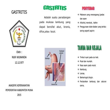 Leaflet gastritis 46 | DOCX