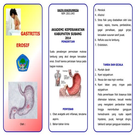 Leaflet Penyakit diare | DOCX