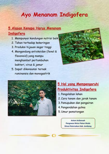 Leaflet urea molases block | PDF