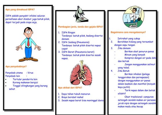 PPT ISPA infeksi saluran pernafasan atas | PPT