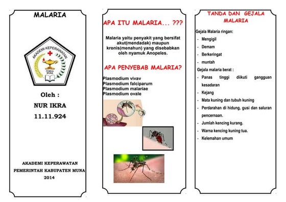 Leaflet febris akper pemkab muna | PPT