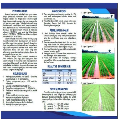 Bahan pemberlajaran mina padi untuk penyuluh.pdf