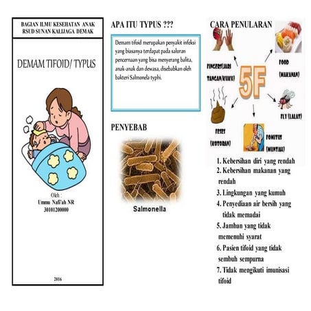 Leaflet thypoid | DOCX