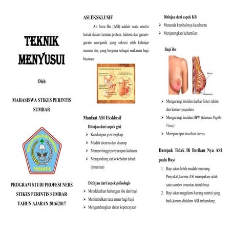 Leaflet Teknik Menyusui yang benar untuk ibu | DOC