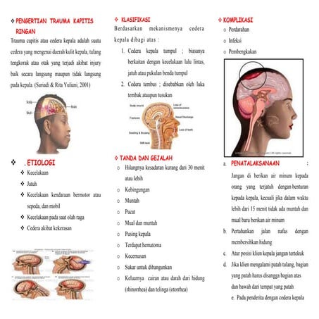 Leaflet trauma kapitis ringan | DOCX