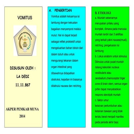 Leaflet vomitus | DOCX
