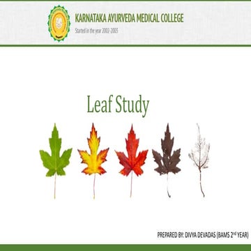 Leaf presentation - Botony | PPTX