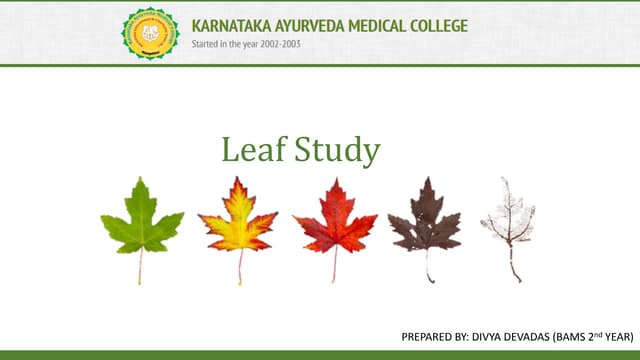 TYPES OF LEAF | PDF