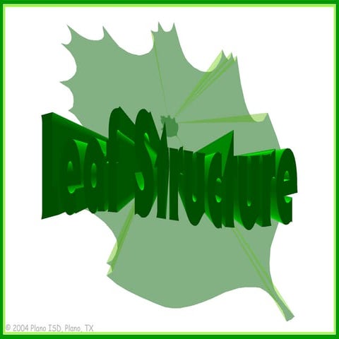 Leaf structure | PPT