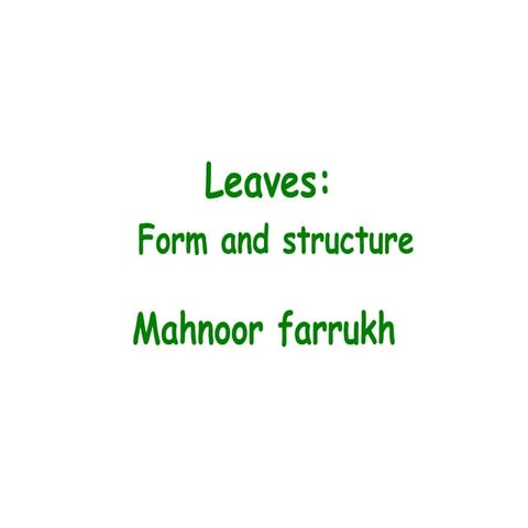 Leaf structure | PPT