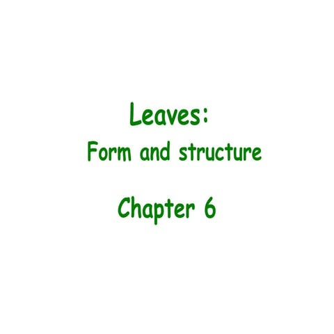 leaf structure.ppt