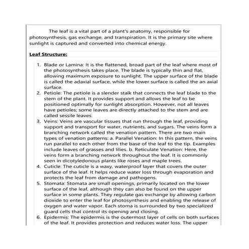 leaf structure.docx