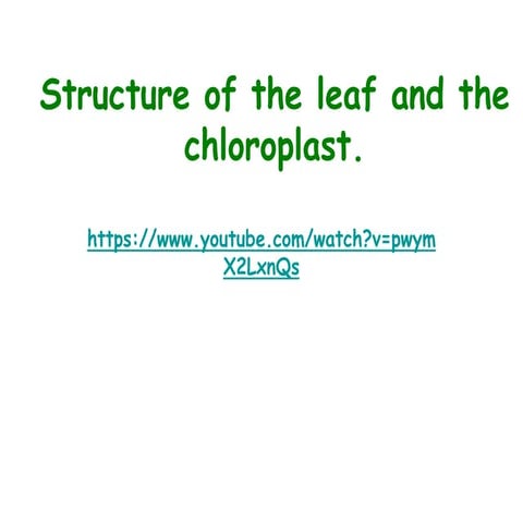 leaf structure and chloroplast.ppt
