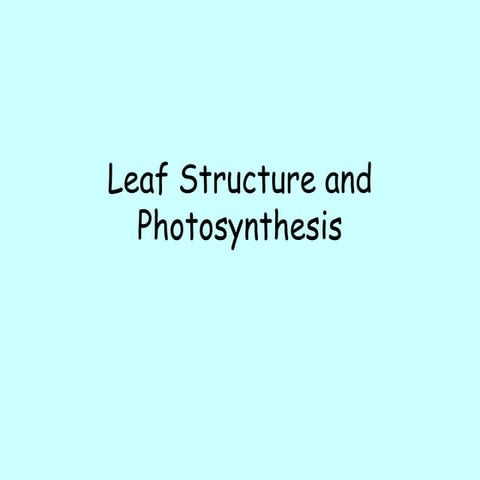 Leaf structure and photosynthesis | PPT