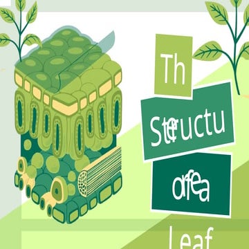 1. structure of leaf.pdf