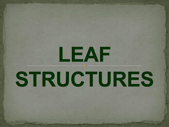 Leaf | PPTX | Gardening | Home & Garden