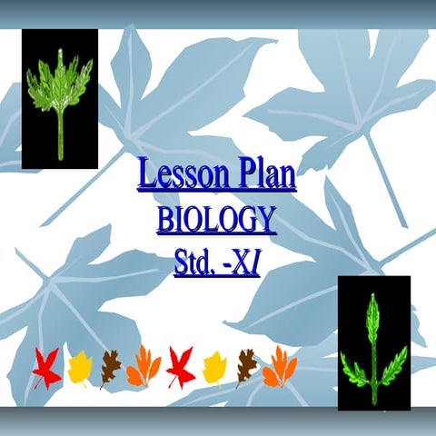Leaf structures | PPT