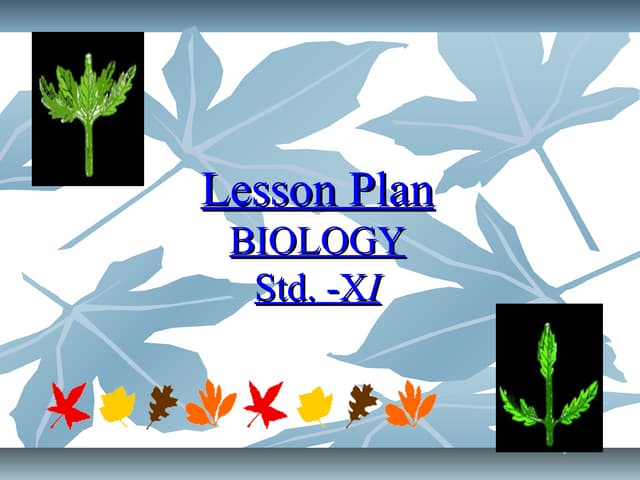 Nodal anatomy, Leaf development & Phyllotaxy | PPTX