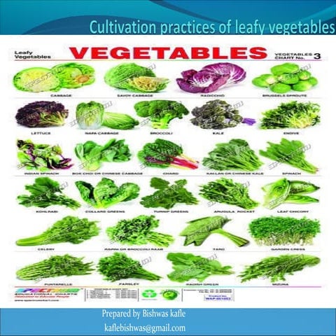 Leafy vegetable | PPT