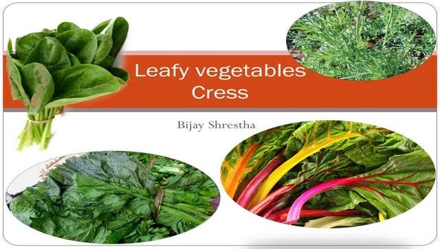 Leafy Vegetables List With Pictures