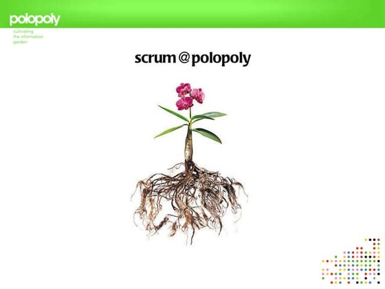 Pirateship - growing a great crew: workshop facilitation guide | PDF