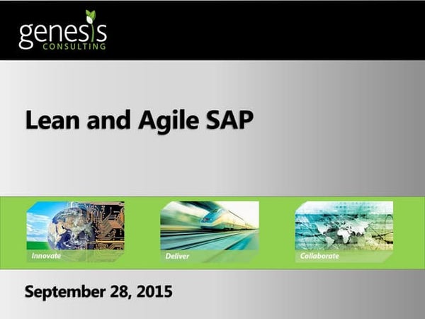 Agile Methodologies In Sap