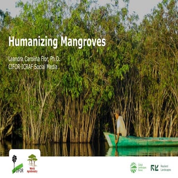 Humanizing Mangroves | PDF