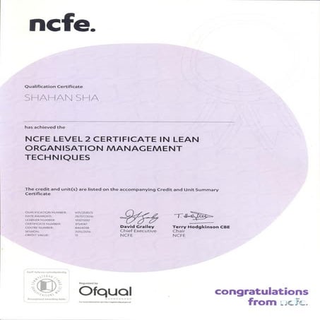 Lean Organisation Management Techniques Level 2 | PDF