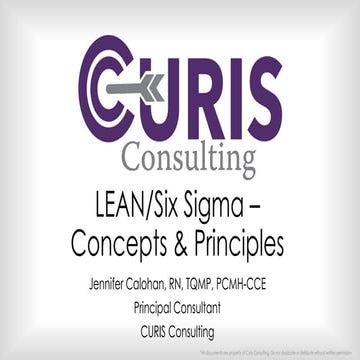 LEAN Six-Sigma concepts & principles.pdf