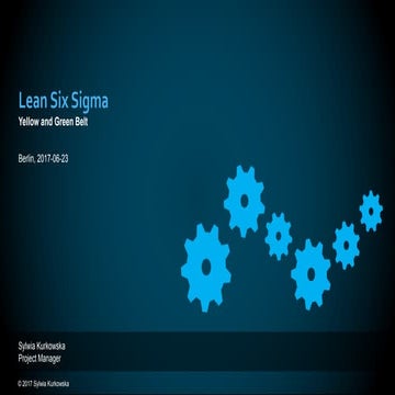 Lean Six Sigma | PPT
