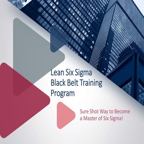 Lean Six Sigma Black Belt Training | PDF