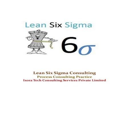Lean Six Sigma Consulting | PDF | Management Consulting Industry ...